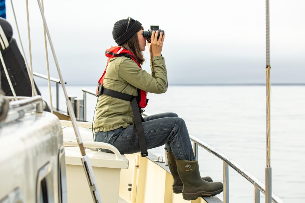 Fun facts about Svalbard - SeilNorge